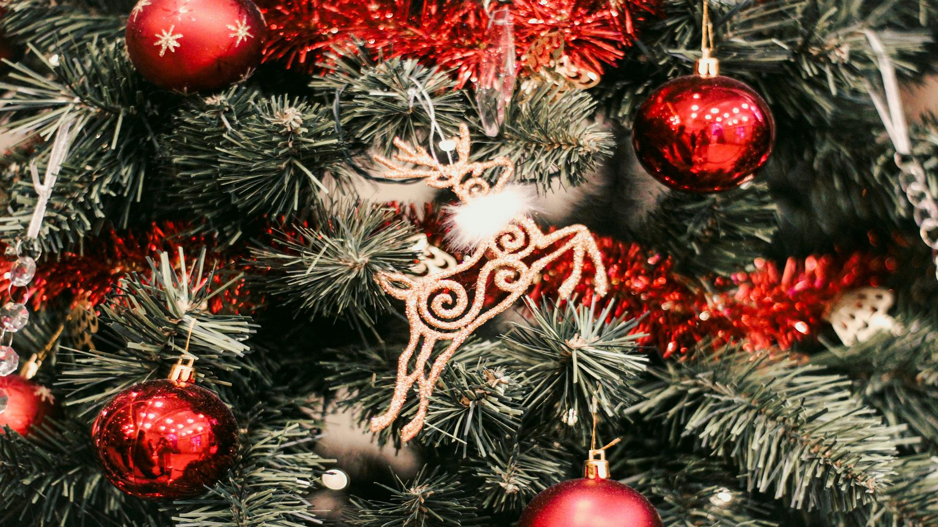 Festive Breaks, Holidays and Coach Tours | SunriseDirect